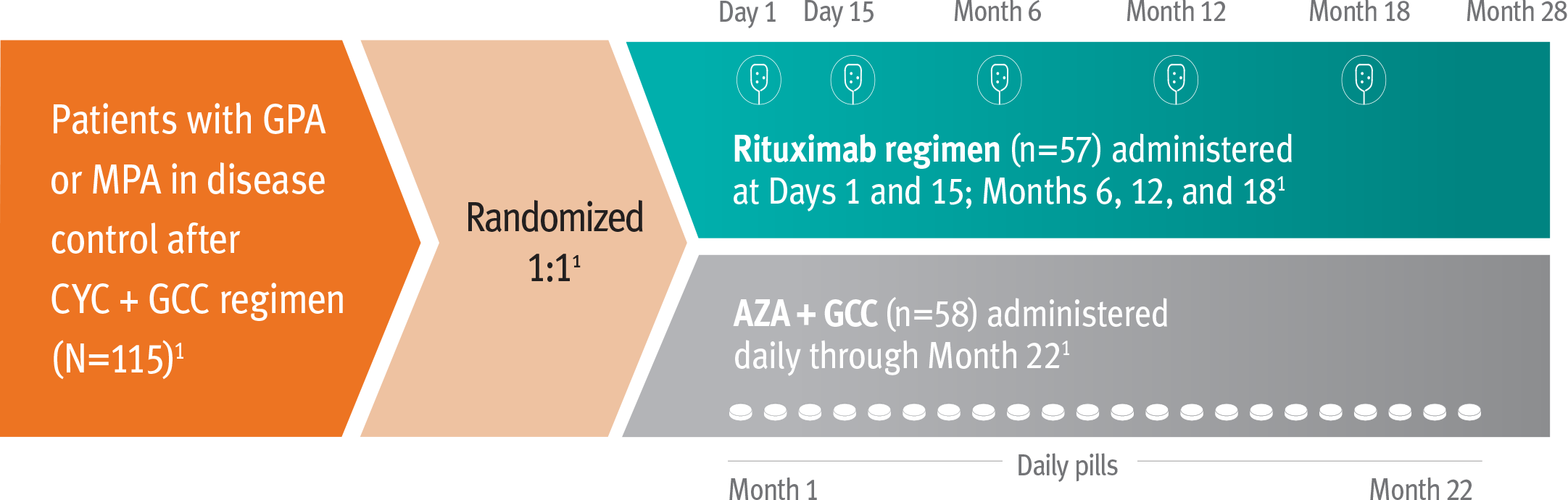 GPA & MPA | RITUXAN® (rituximab) Follow-up Efficacy | MAINRITSAN Trial