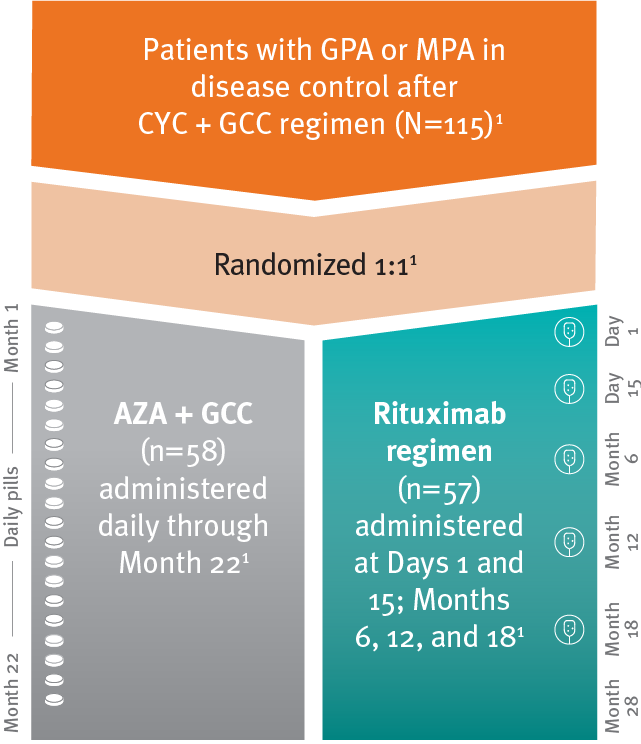 GPA & MPA | RITUXAN® (rituximab) Follow-up Efficacy | MAINRITSAN Trial