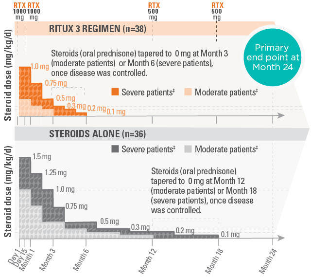 PV | RITUXAN® (rituximab) Efficacy
